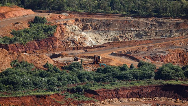 765 thousand hectares of forest turned into nickel mining concessions ...